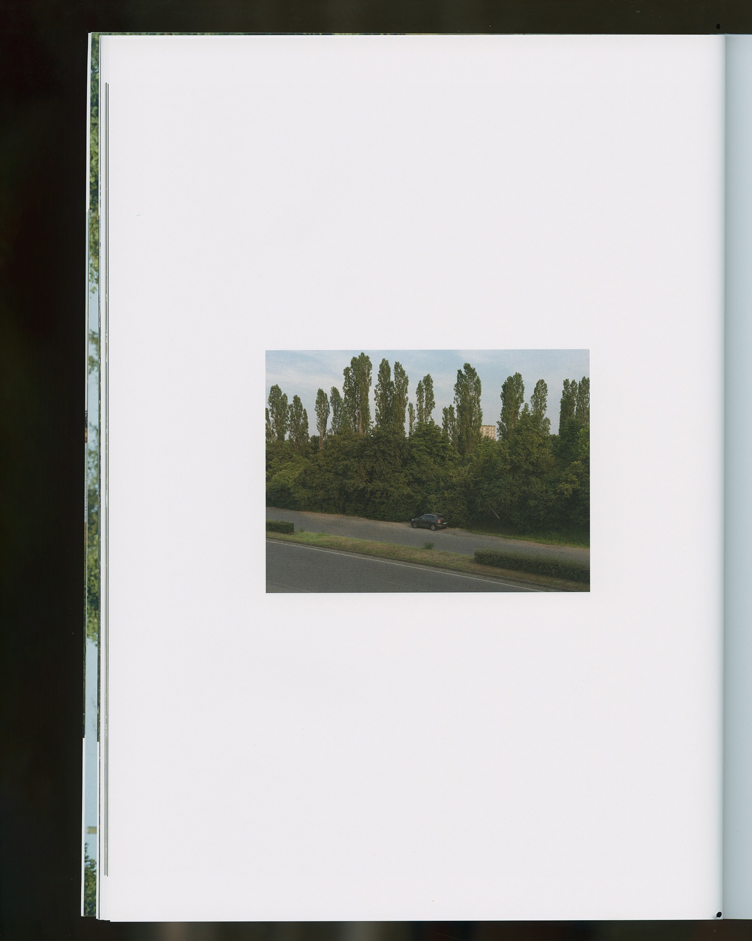 Federico Torra — Parklife Magazine